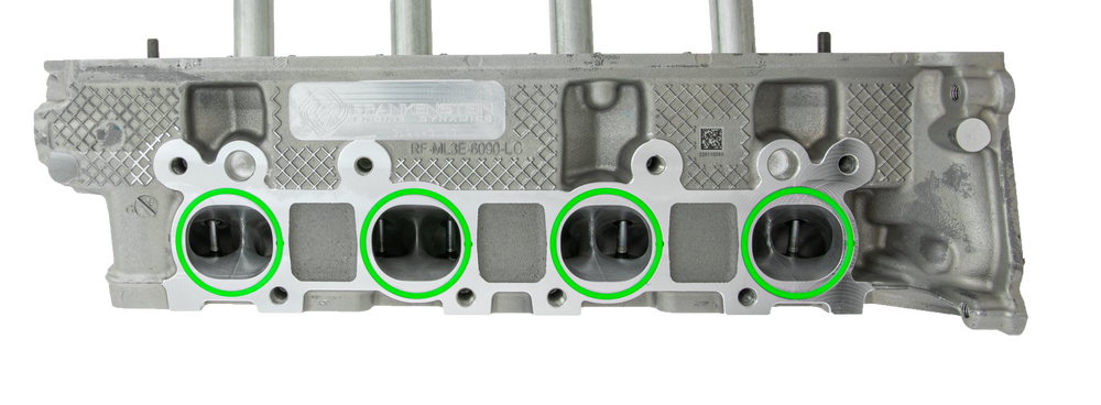 Gen IV Coyote Porting Service (SET)